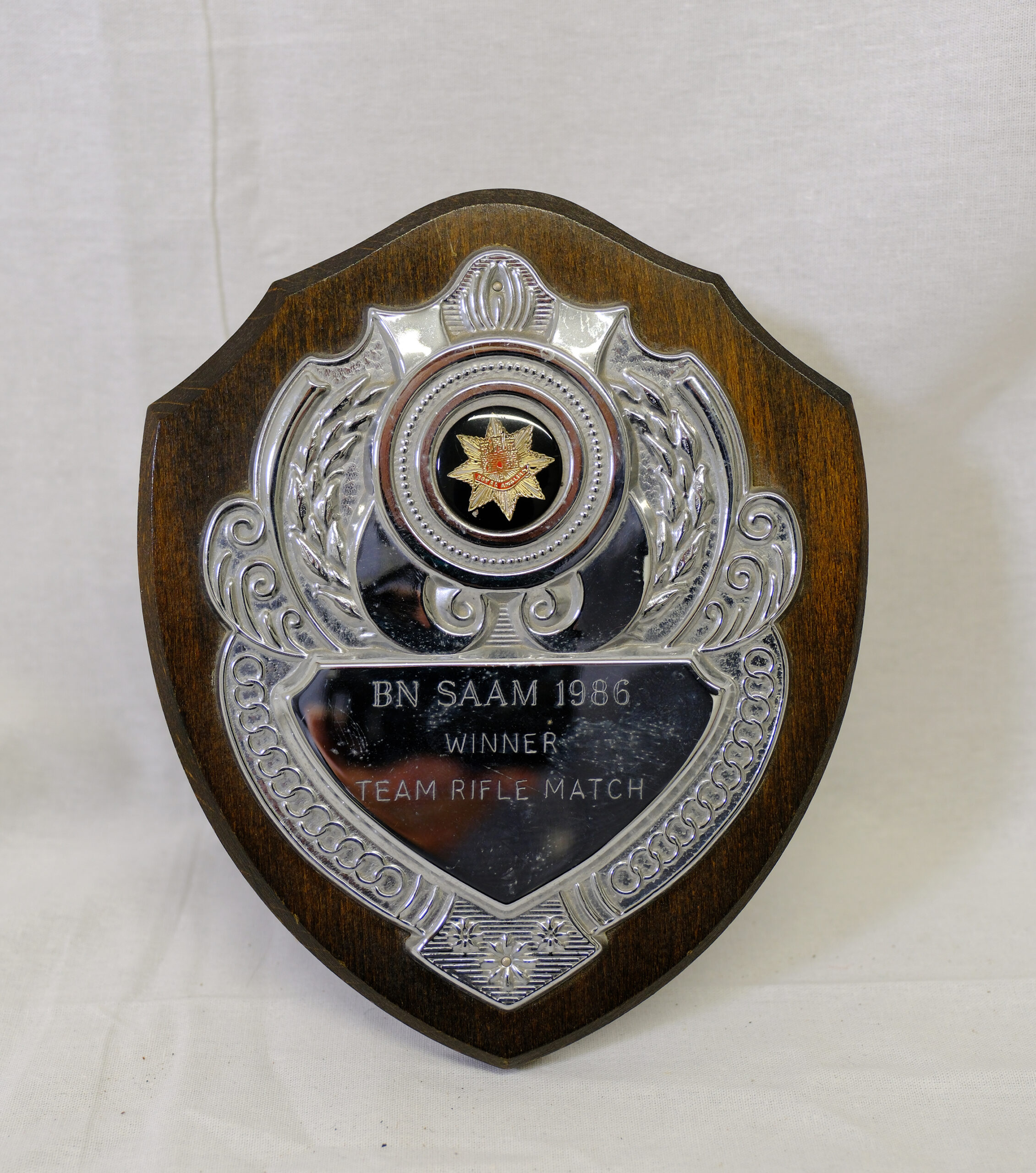 5th Battalion Royal Anglian Regiment SAAM 1986 award for Private O C ...