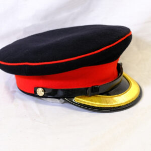 Collection - Royal Anglian Regiment