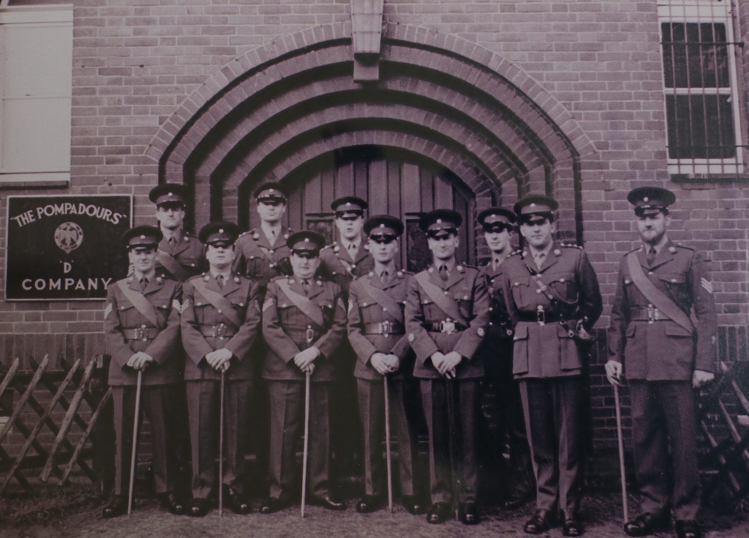 D Company the Pompadours - Royal Anglian Regiment