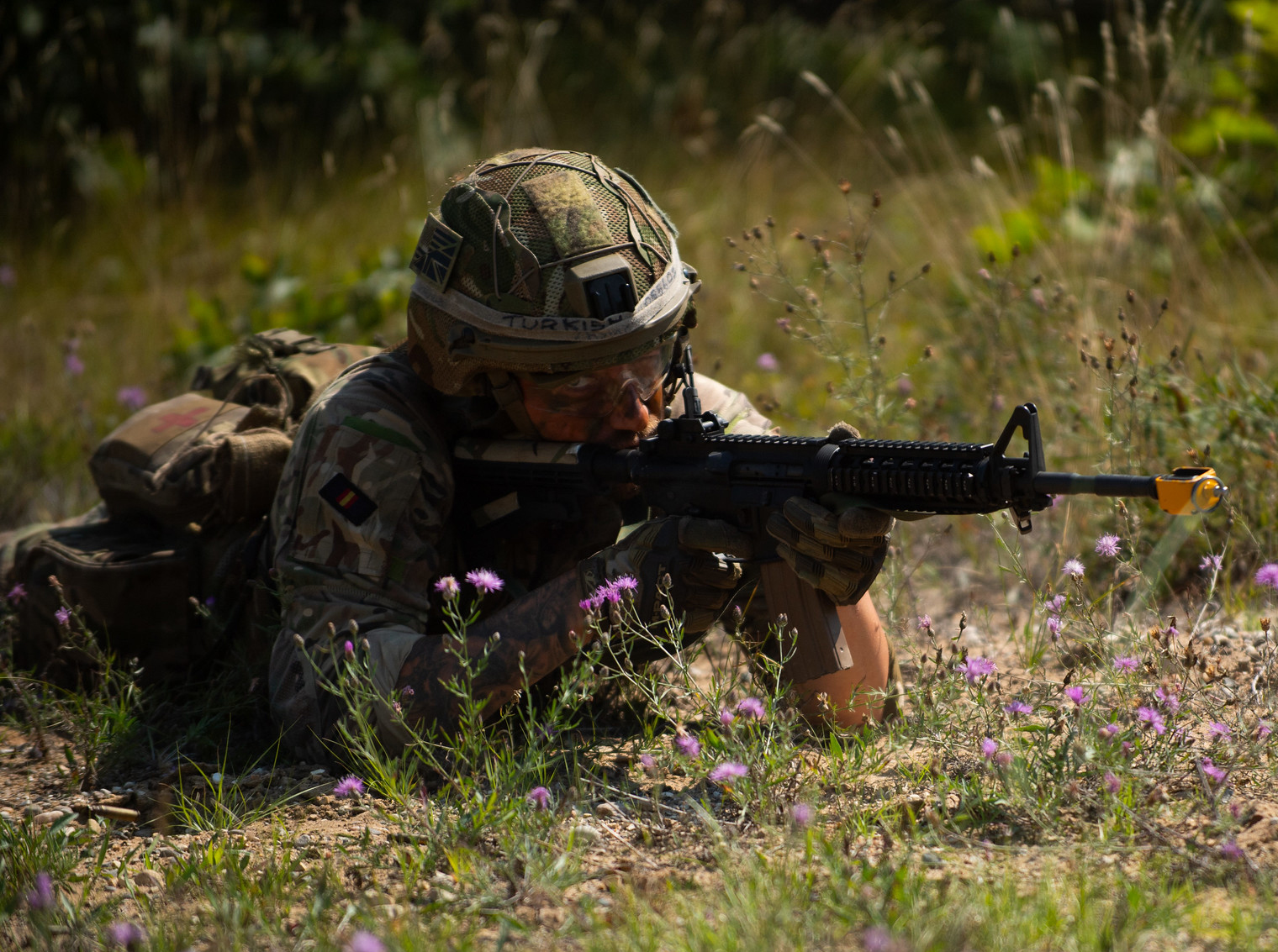 3rd Battalion - Army Reserve - Royal Anglian Regiment