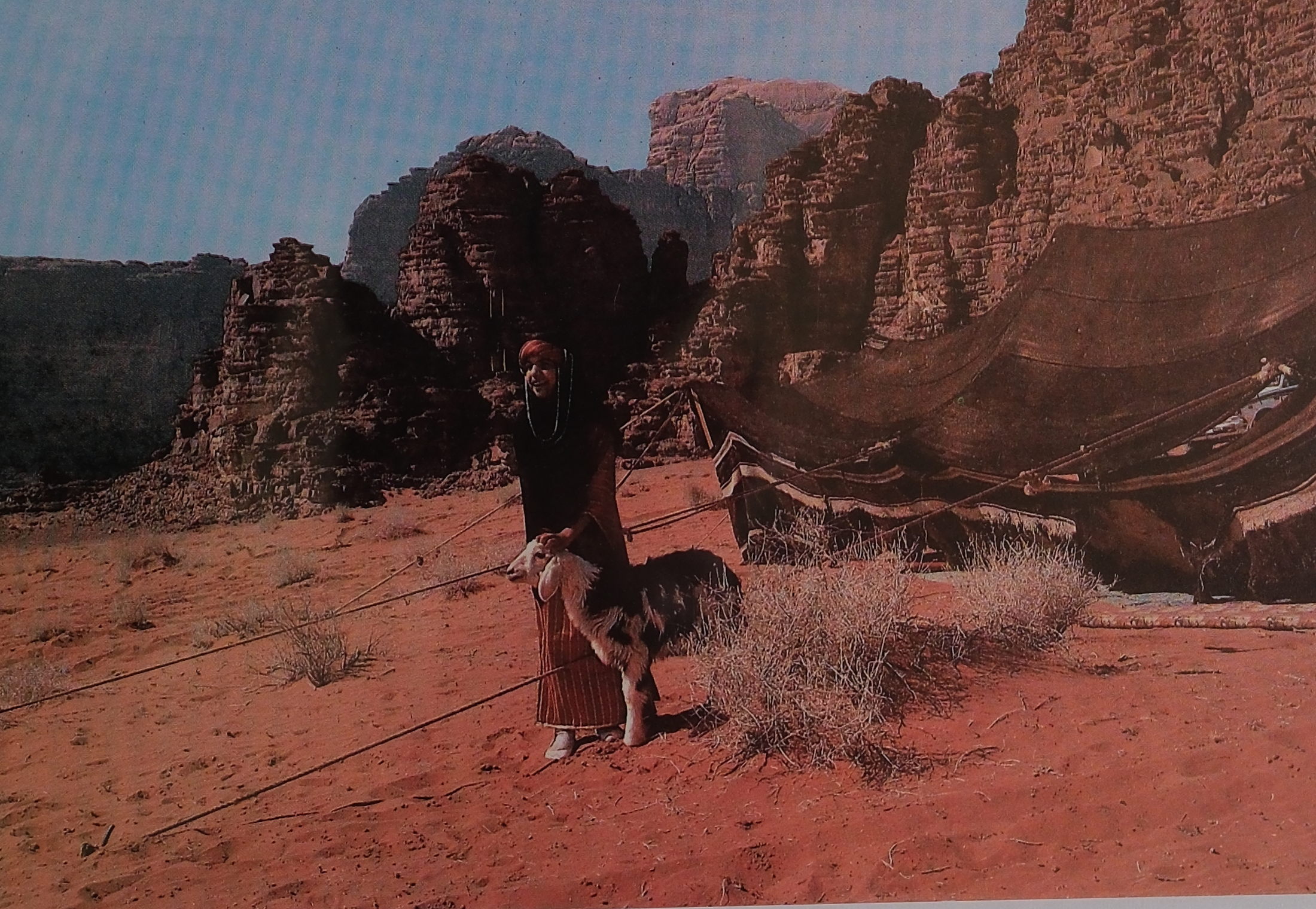 A selection of postcards from Jordan exercise in 1999 - Royal Anglian ...